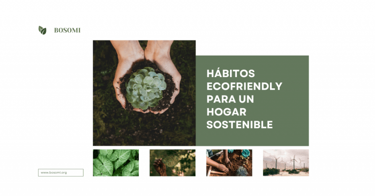 Hábitos ecofriendly para un hogar sostenible y saludable